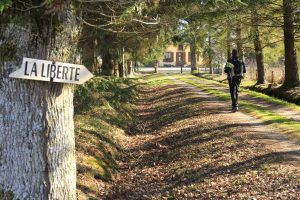 Intégrer l'existentiel dans vos approches d'accompagnement professionnel